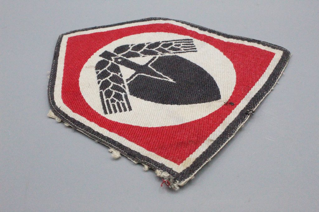 WW2 German RAD sport shirt insignia . EFL781 - Time Traveler Militaria