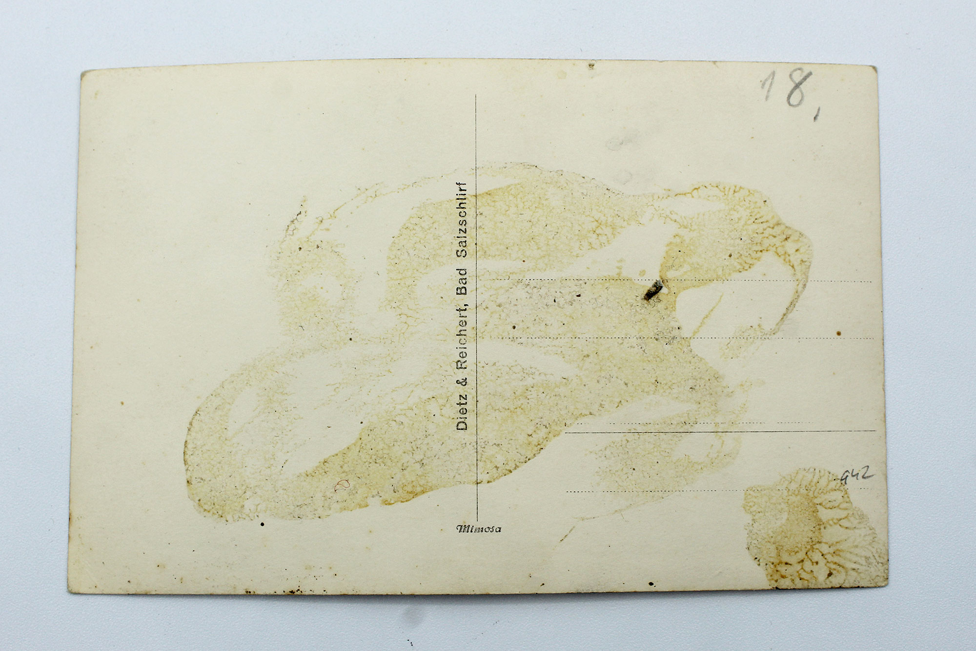 WW2 German RAD Soldier Postcard . GD660 - Time Traveler Militaria