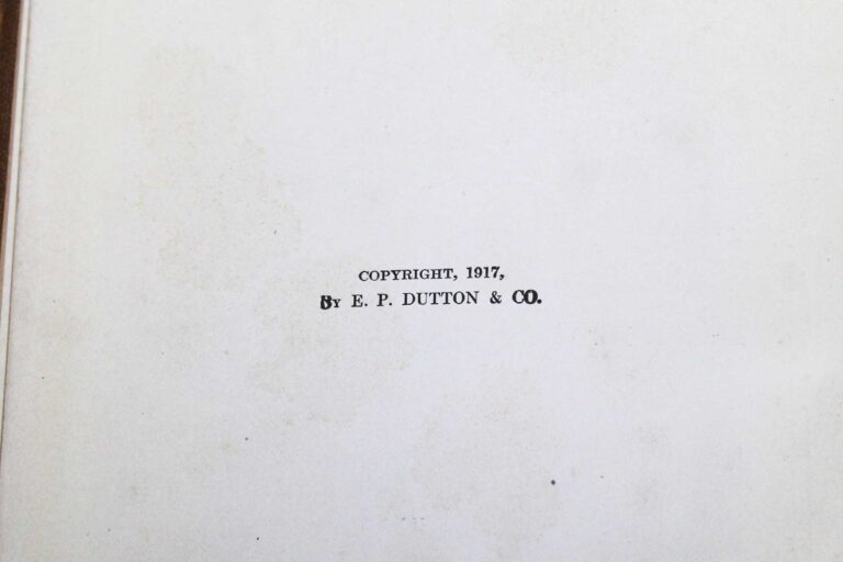 Army Navy Information Book 1917 . BOOK173 - Time Traveler Militaria