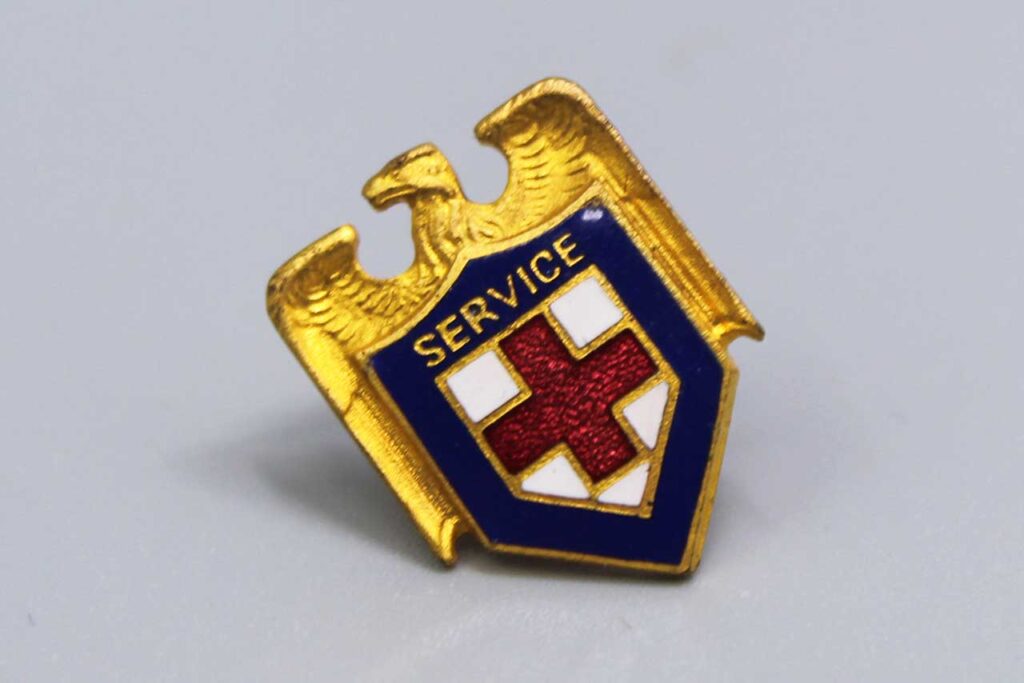 US ARC Service Small Pin . FLU4809 - Time Traveler Militaria