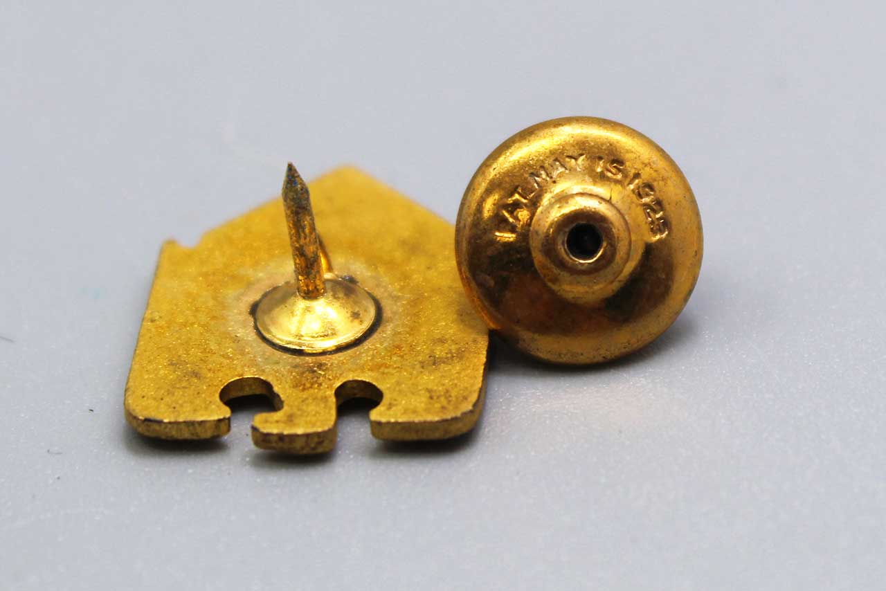 US ARC Service Small Pin . FLU4809 - Time Traveler Militaria