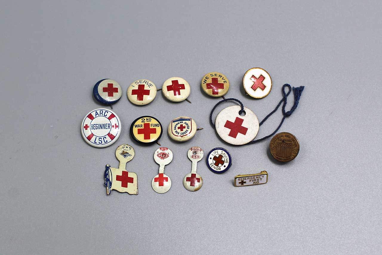 Group of 15 ARC Insignia . FLU4813 - Time Traveler Militaria