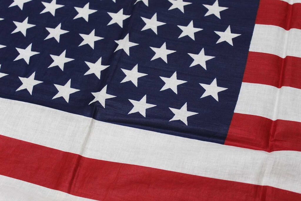 American Vintage 49 Star Flag . FLU6147 - Time Traveler Militaria