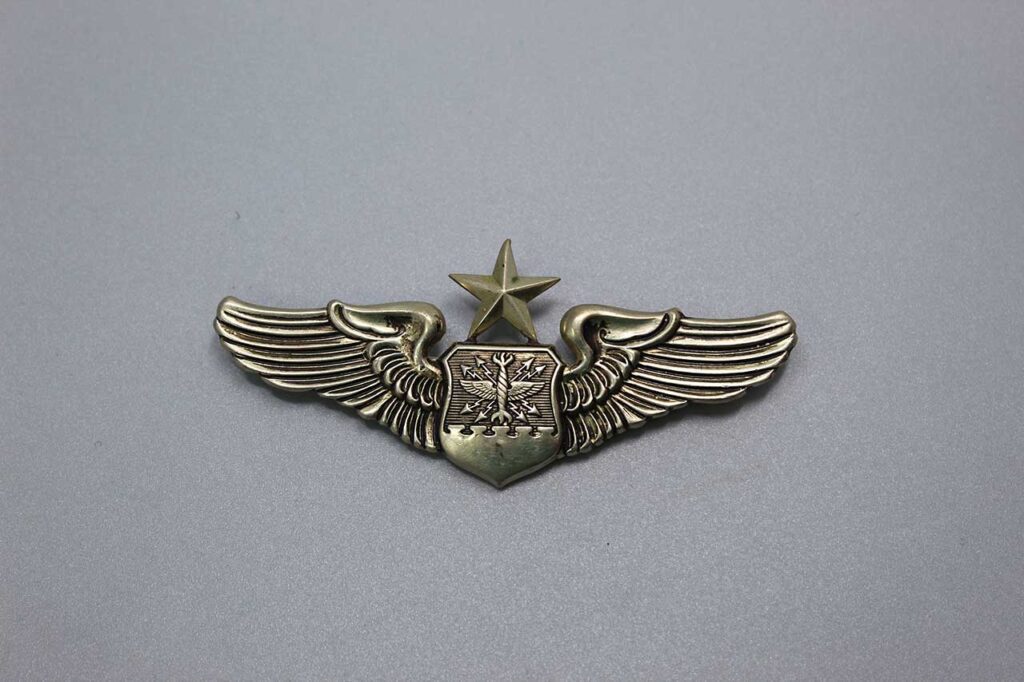 USAF Senior Navigator Wings NS Meyer . W273 - Time Traveler Militaria