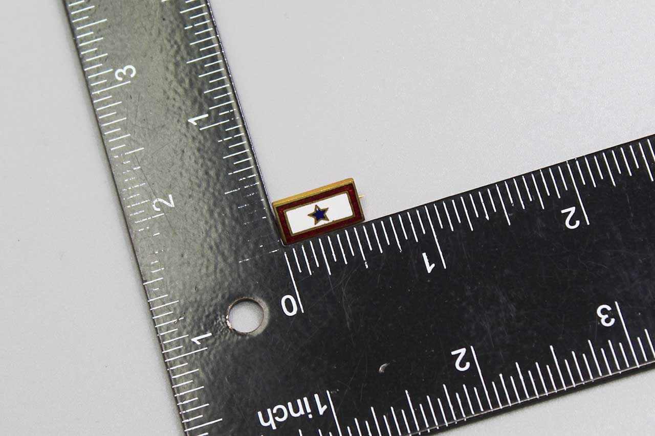 US Homefront One Blue Star Pin Son-in-Service . FLU4837 - Time Traveler ...