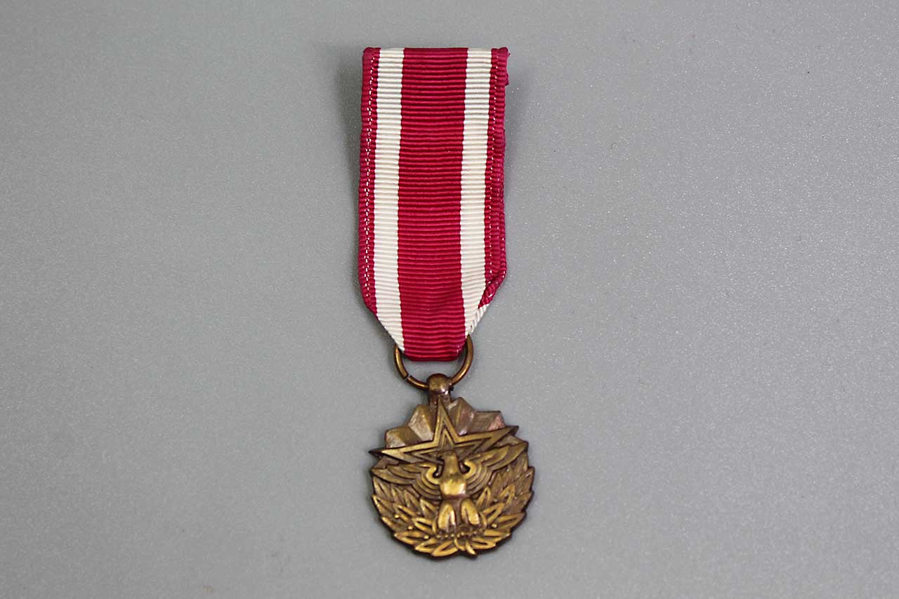 US Miniature Meritorious Service Medal . YMU4825 - Time Traveler Militaria