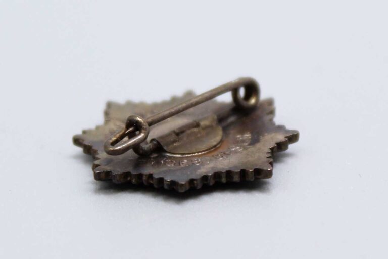 WW2 German RLB Members Pin . PIN1256 - Time Traveler Militaria