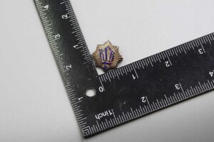 WW2 German RLB Members Pin . PIN1256 - Time Traveler Militaria